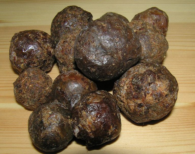 Taruvaik ja taruvaigutinktuur. Rahvaravi retsepte - Manaratas